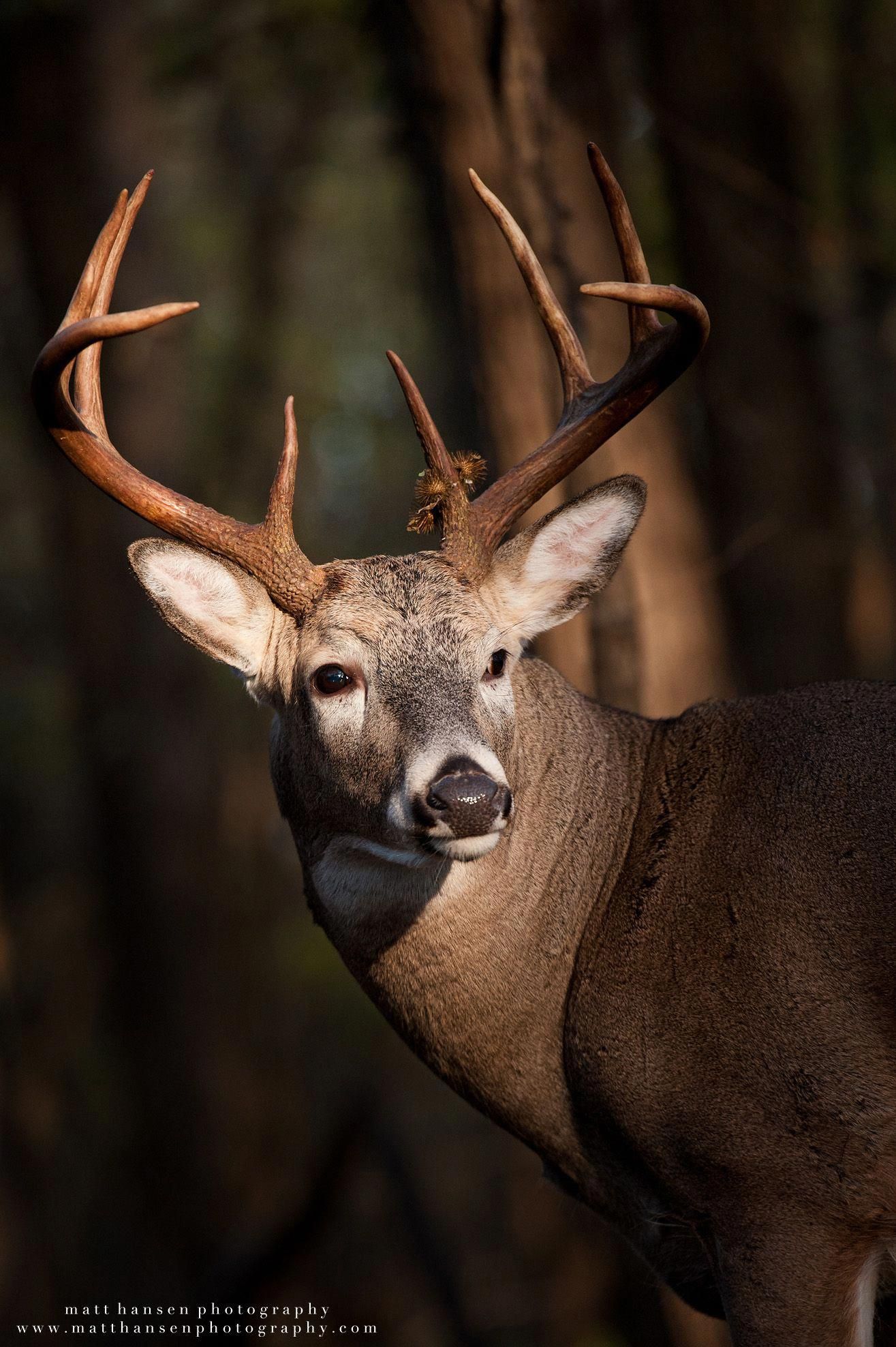 Events | Random Lake Rod & Gun Club
